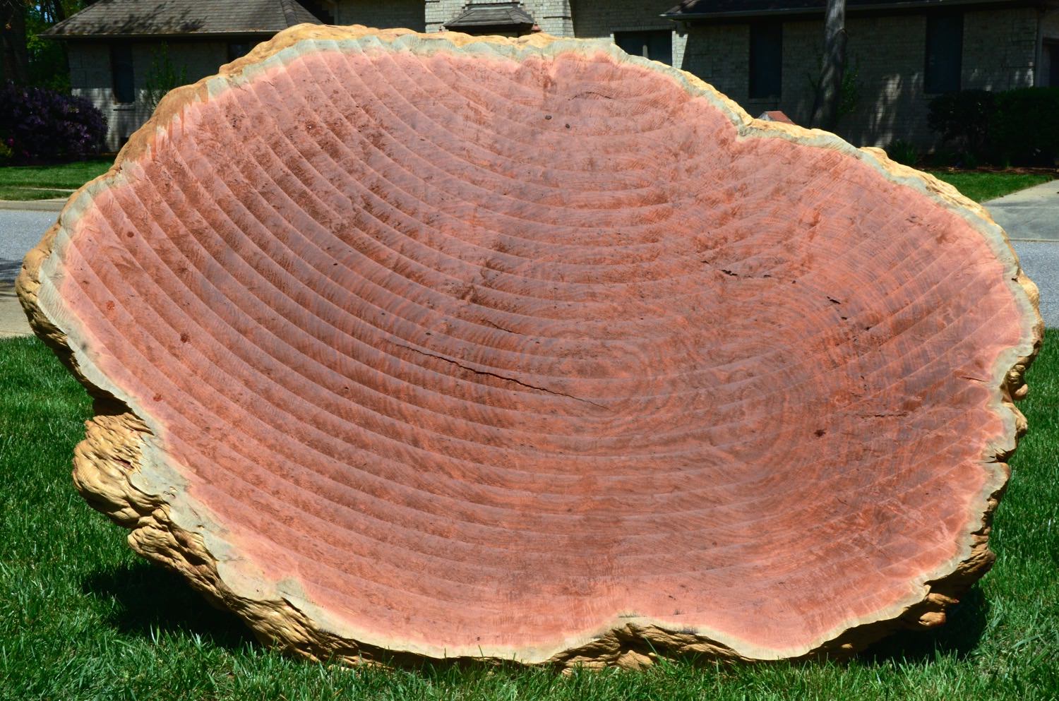 AustralianBurls.com - Burl Slabs